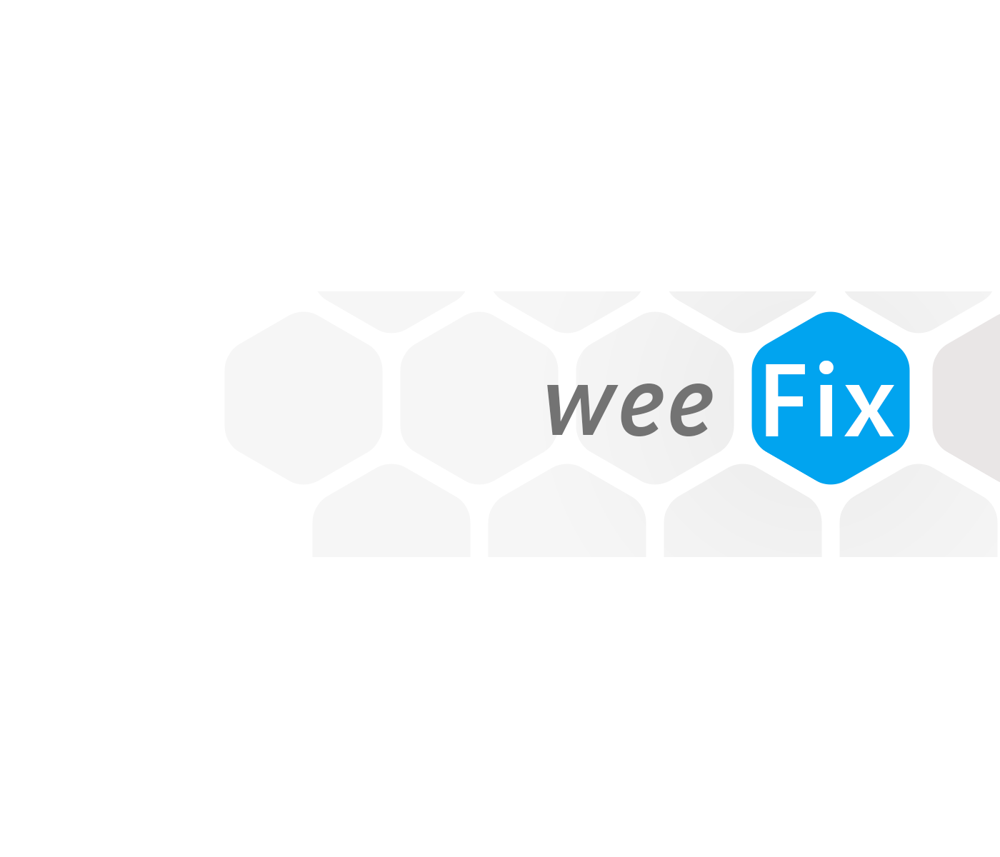 WeeFix Software Business Systems